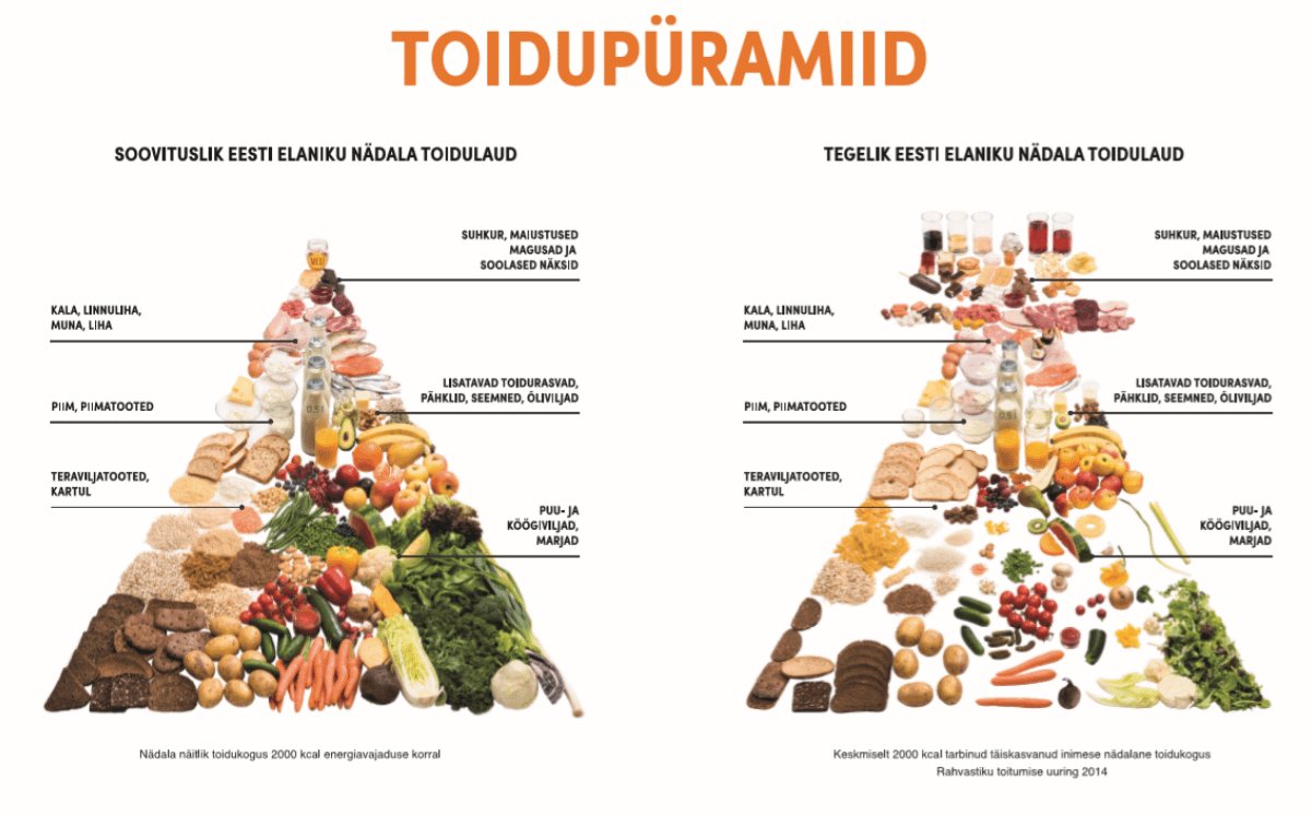 Kaalunumbri säilitamise võti – tasakaalustatud toitumine ja taldrikureegel